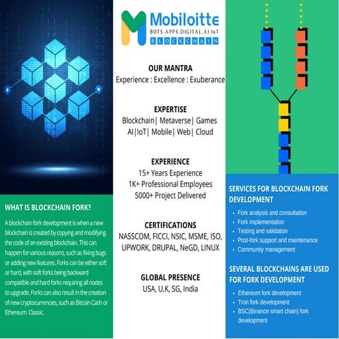 Blockchain Fork Development | PDF | Programming Languages | Computing