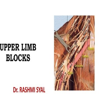 Blocks upper limb anesthesia | PPTX