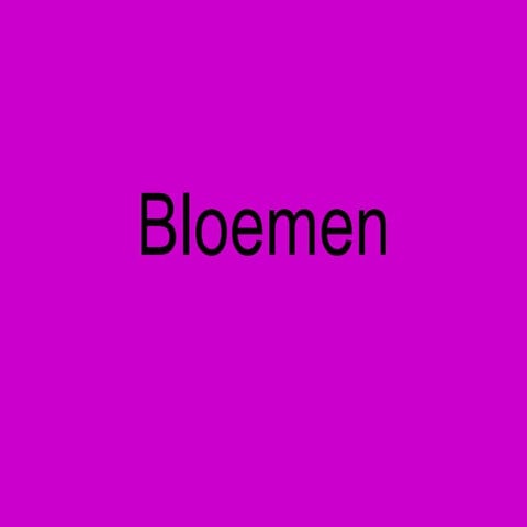 Bloemen | PPT