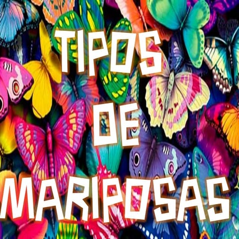 CLASE DE MARIPOSAS | PDF
