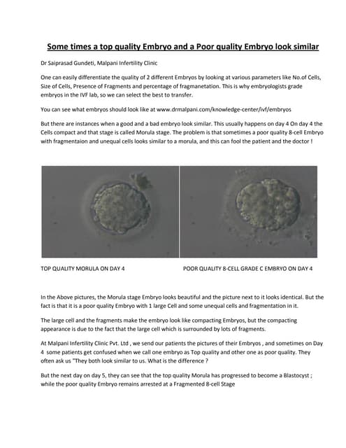 Quality control in the IVF Lab | PDF