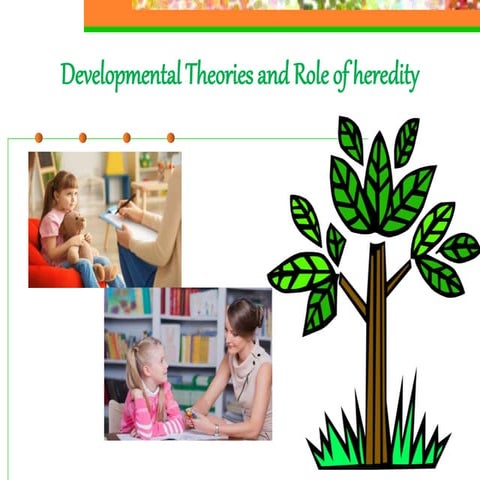 developmental theories.ppt | Genetics | Science