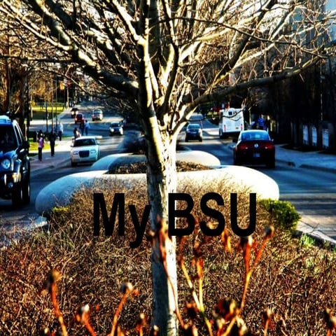 My BSU | PPTX
