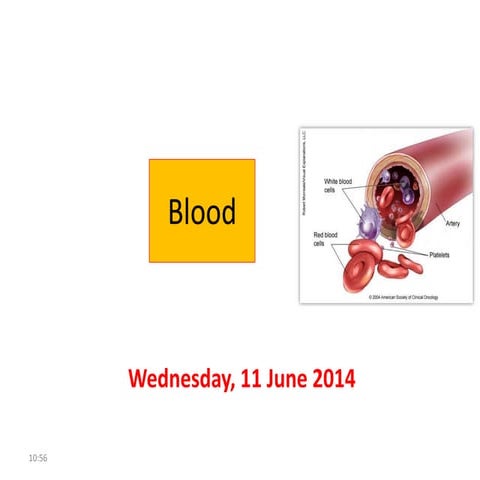 Blood GCSE | PPTX