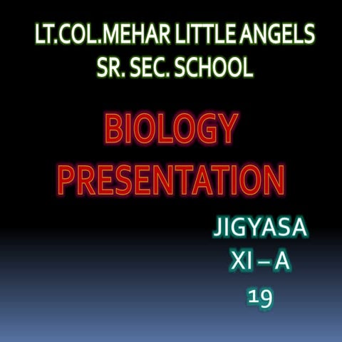 Class 11 project biology prect topic body fluid and circulation | PPTX
