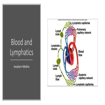 169-Anatomy-Blood-Lymphatic-System.ppt