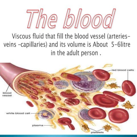 Blood | PPTX | Blood Disorders | Diseases and Conditions