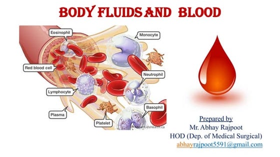 Blood Composiotion Blood Physiology | PPT