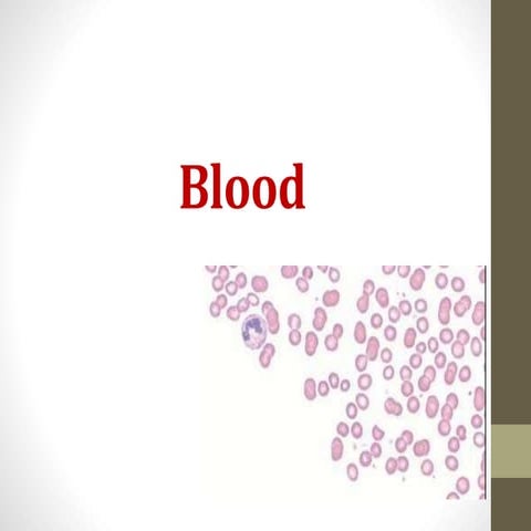 Histology: Blood | PPT