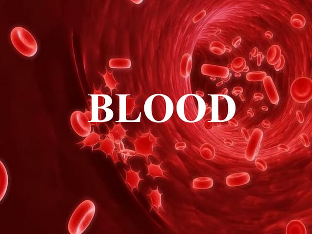 Histology: Blood | PPT | Blood Disorders | Diseases and Conditions