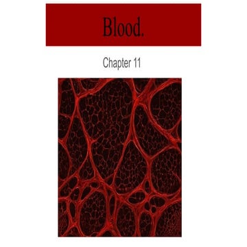 Presentation about the blood in the human body | PPTX