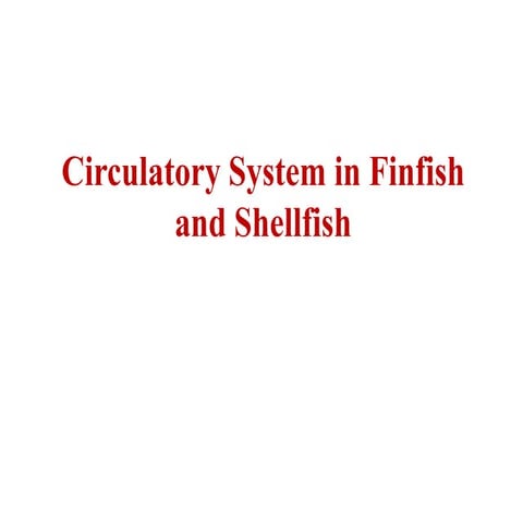 Blood Circulation Pdf