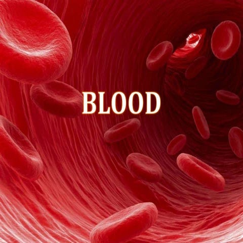 Blood Composiotion Blood Physiology | PPTX