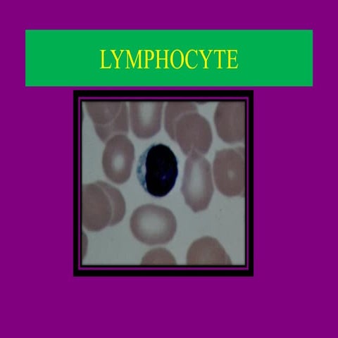 histology of blood2.pdf