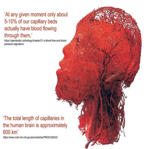 Blood 2019 copy.pptx