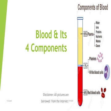 Blood and its 4 components | PPSX