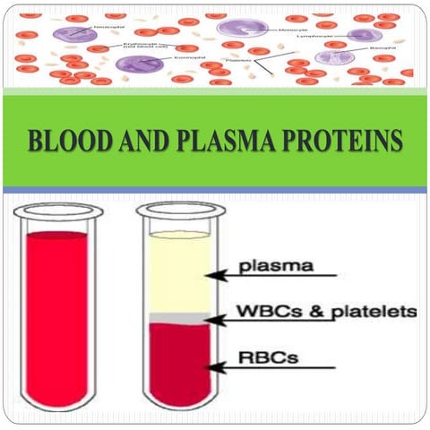 BLOOD AND PLASMA PROTEINS.pptx