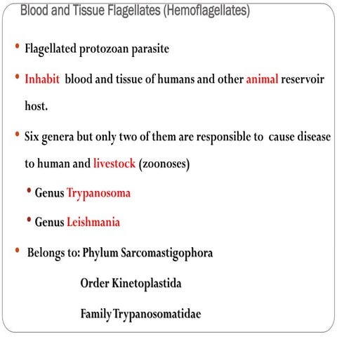 Blood and tissue flagellates (1).ppt full | PPT