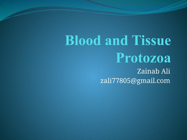 Plasmodium | PPT
