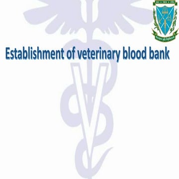 animal Blood banking | PPTX