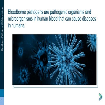 BLOODBORNE PATHOGENS 2022 | PDF