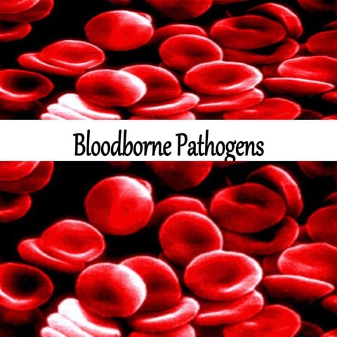 Bloodborne pathogens revised | PPT