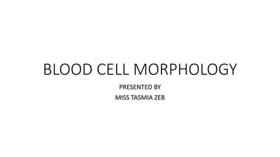 Abnormal morphology of rbc notes | PDF