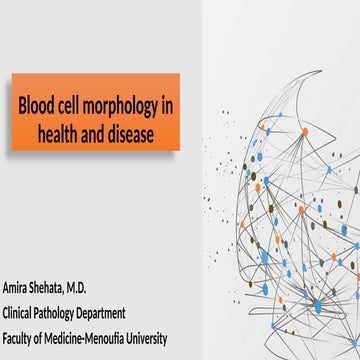 The Learning Zone Model (Senninger, 2000) | PDF