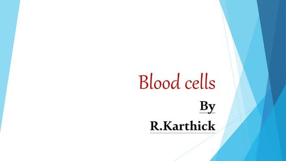 The Blood | PPT