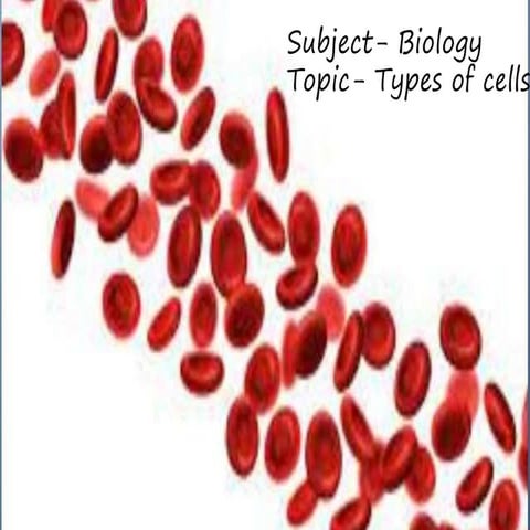 Blood GCSE | PPTX