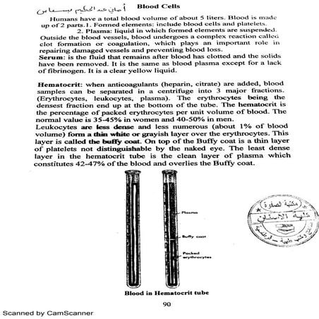 histology Blood cells | PDF