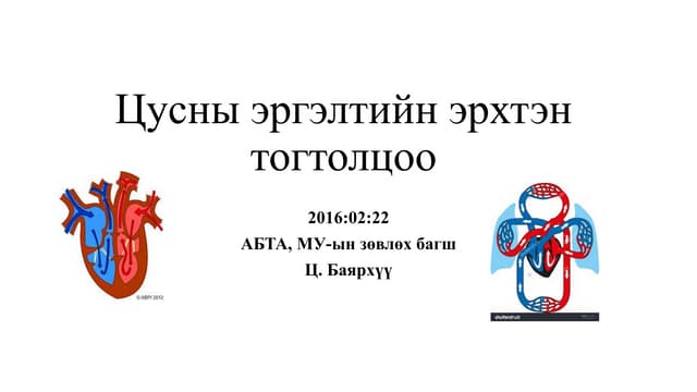 Цусны эргэлтийн эрхтэн тогтолцоо Ppt