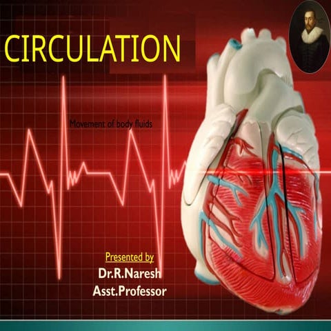 Basic concepts of blood circulation in mammals | PPT