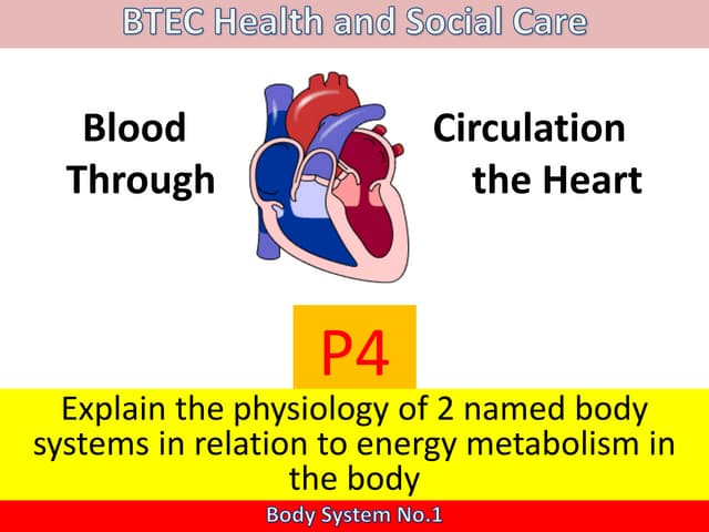 Pathway of blood | PPT