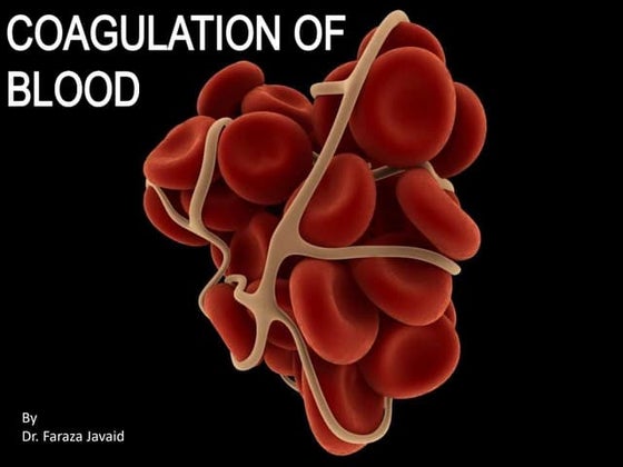 Mechanism of Blood Coagulation | PPTX | Blood Disorders | Diseases and Conditions