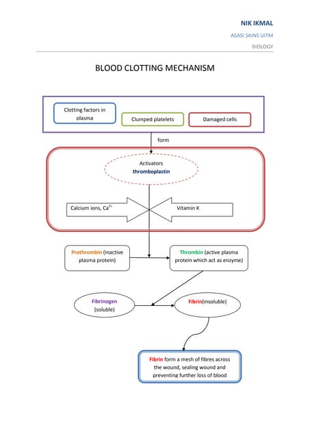 Blood clotting | PPT