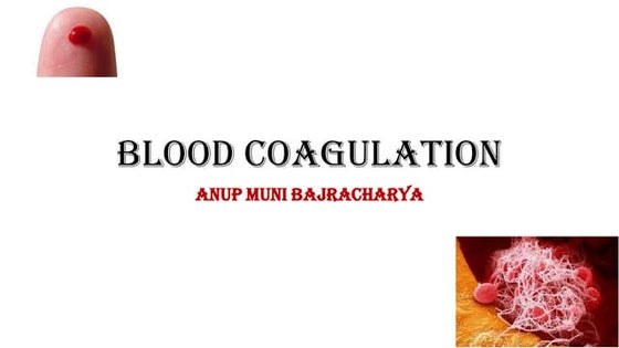 Mechanism of Blood Coagulation | PPT