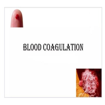 A Detailed Overview of the Blood Coagulation Process: Mechanisms ...