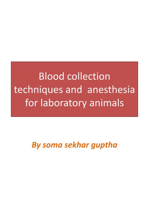 Blood sample collection in lab. animals | PPT