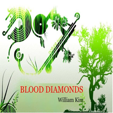 Blood Diamonds | PPT