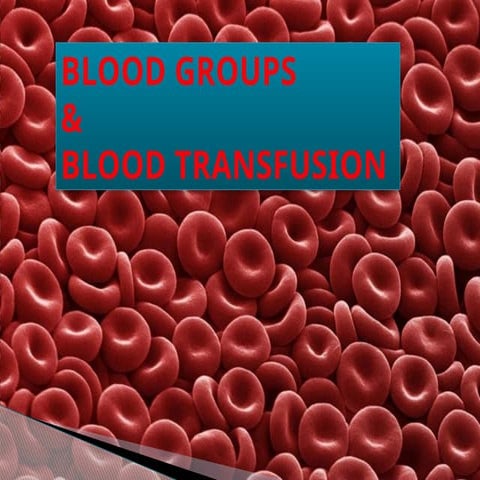 Blood group | PPTX