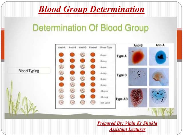 Rhesus Blood Group System