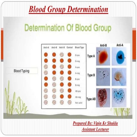 Blood group determination | PPT