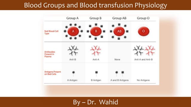 Rh Blood Group System | PPT