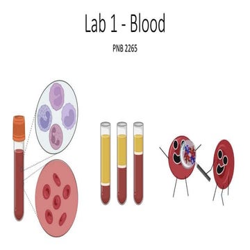 Blood lab.pptx