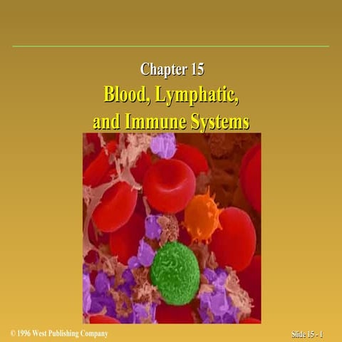 Blood, lymphatic, | PPT | Blood Disorders | Diseases and Conditions