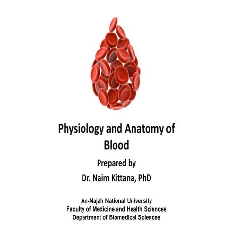 Blood physiology.pdf