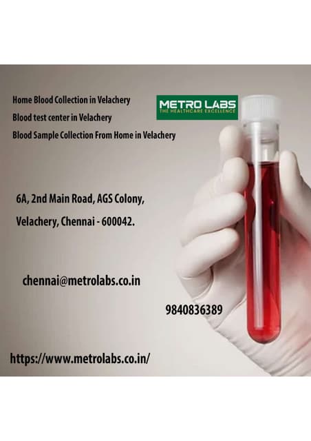 Blood Sample Collection From Home in Velachery (1).pdf