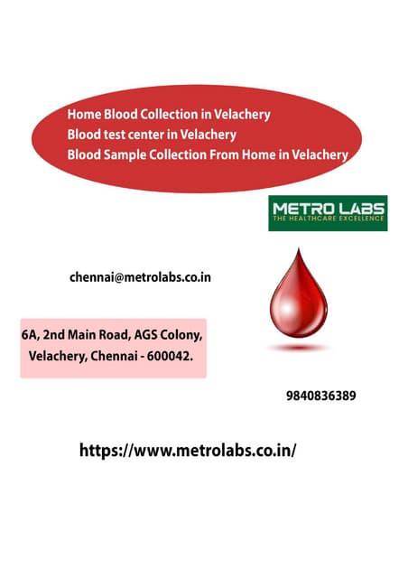 Blood Sample Collection From Home in Velachery (1).pdf
