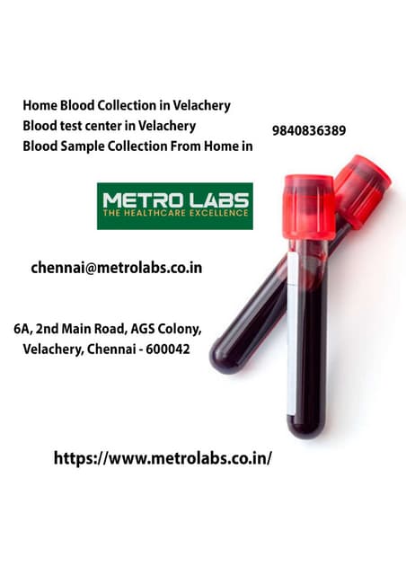 Blood Sample Collection From Home in Velachery (1).pdf
